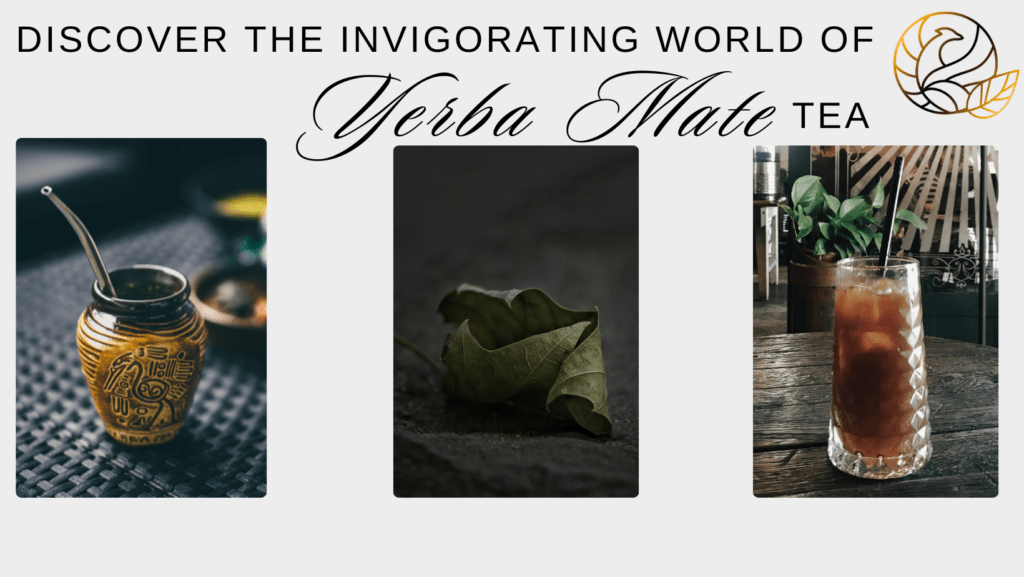 Discover the invigorating world of Yerba Maté Tea