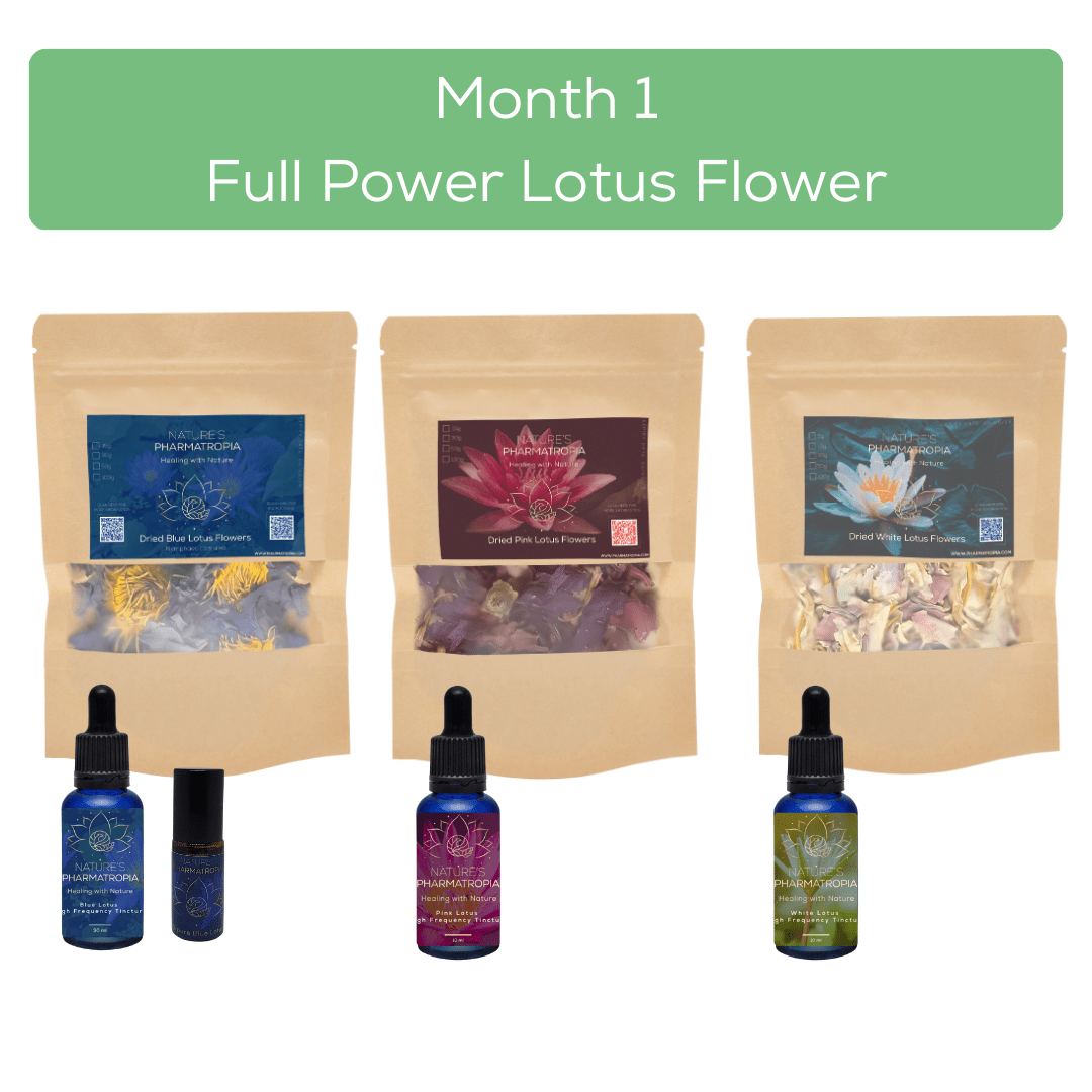 Subscription Package – Explore Teas & Tinctures for Relaxation & Vitality