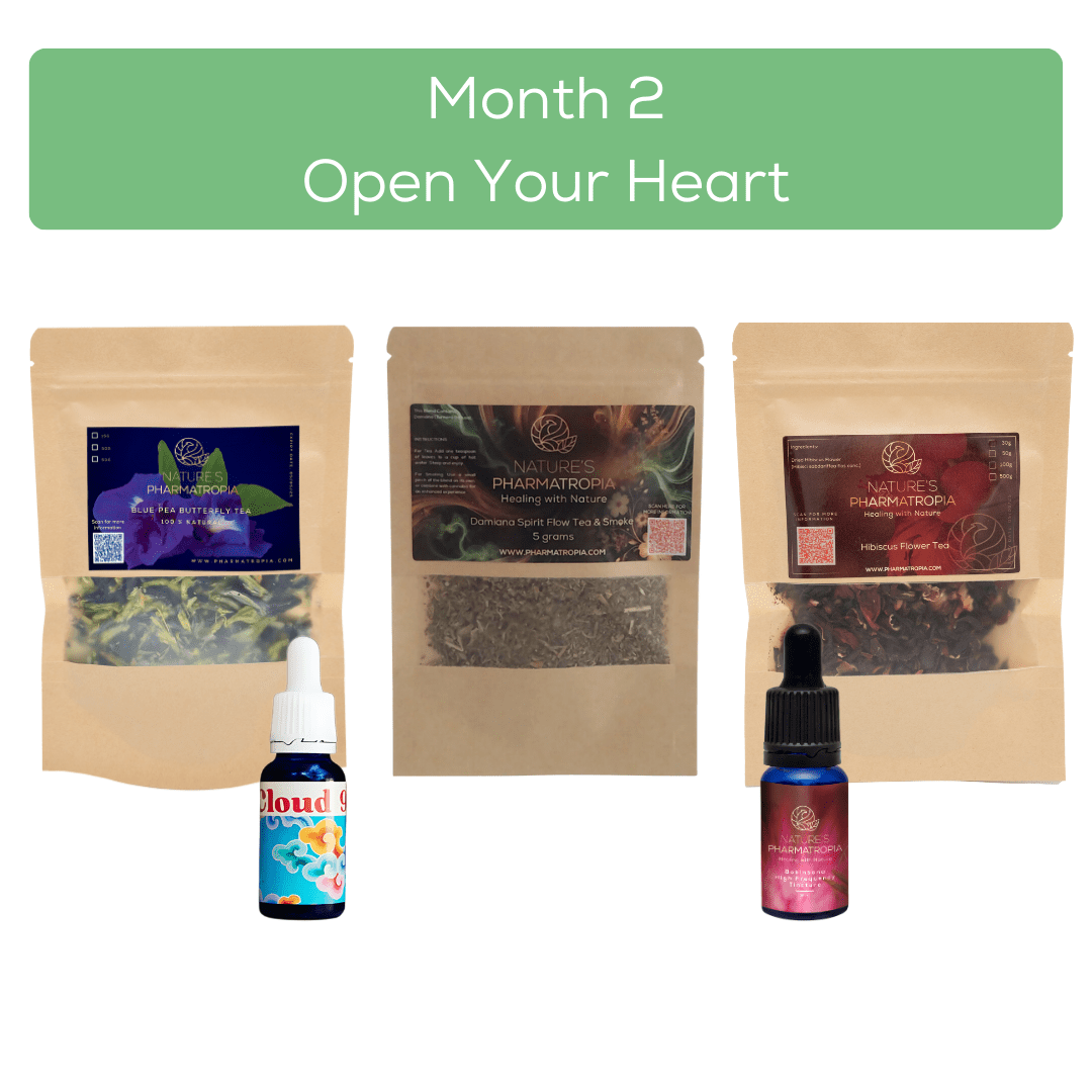 Subscription Package – Explore Teas & Tinctures for Relaxation & Vitality